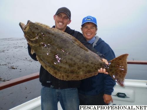 Artes de Pesca: VAMOS A PESCAR FLETAN