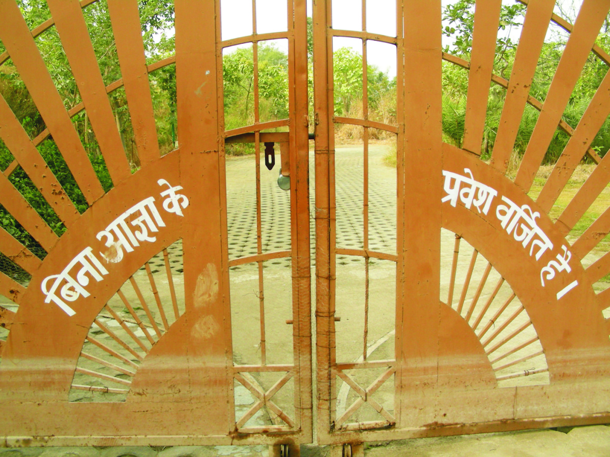 thinkunthink: How to reach Yamuna Biodiversity Park - with photos ...