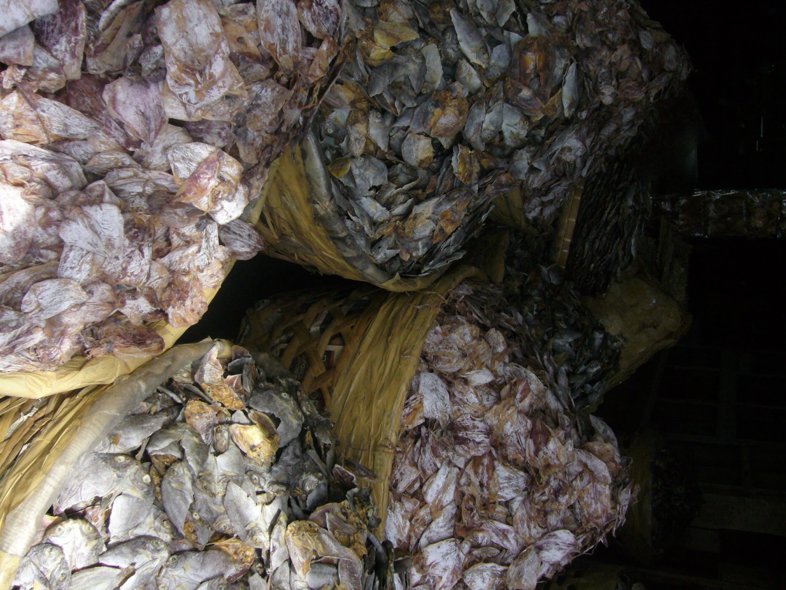 adventures in sustainability: Buwad Heaven