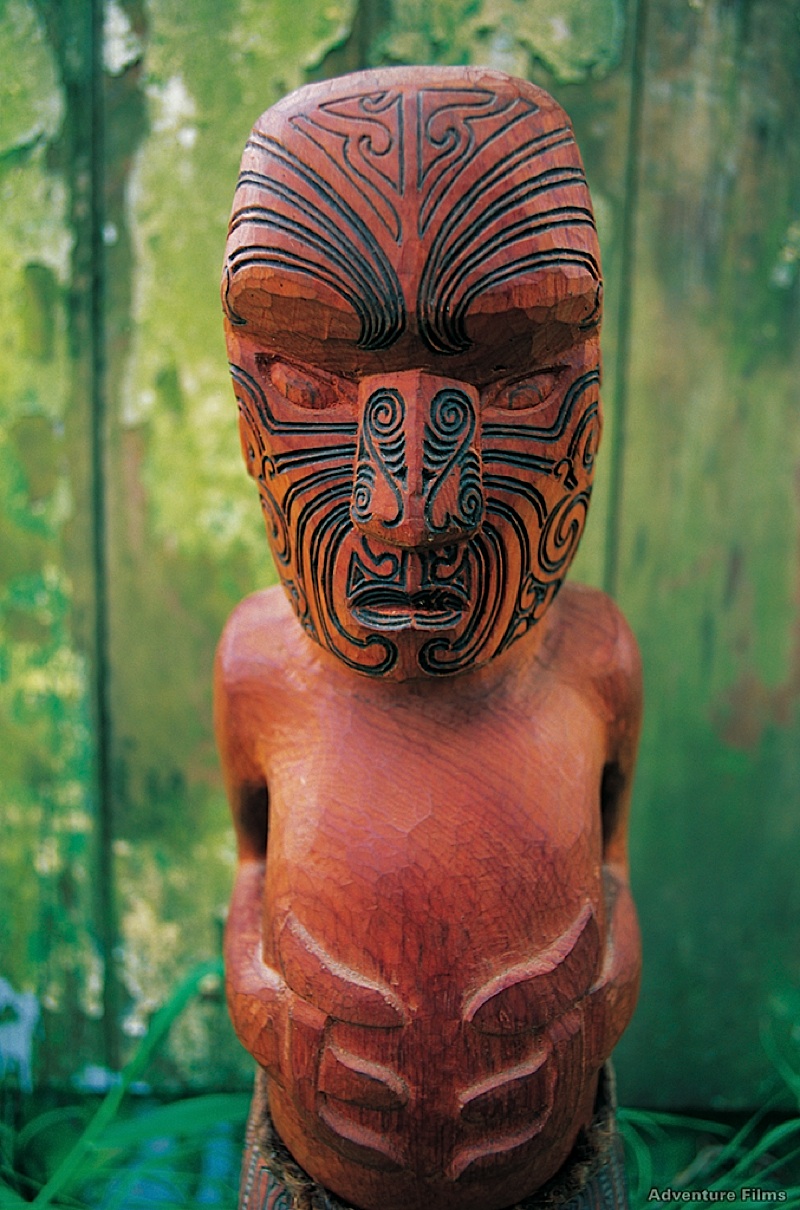 Room 2 Burnham School: Room2's Mokos