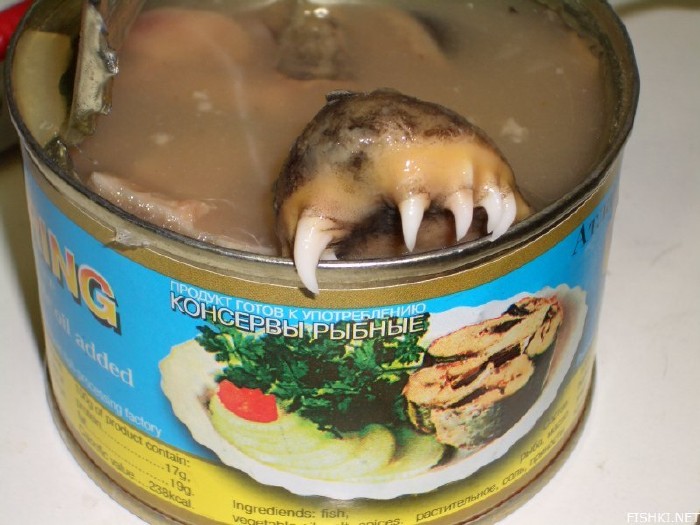 Ten Of The Most Disgusting Canned Food Products - Neatorama