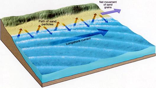 The Running Scientist: Seashore