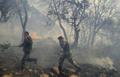 HISTORY IN IMAGES: Pictures Of War, History , WW2: AMAZING! The ...