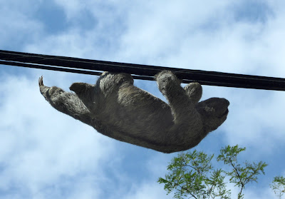 Scratching the Surface