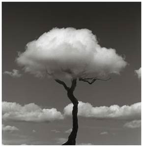 Encuentros Fotográficos: Chema Madoz