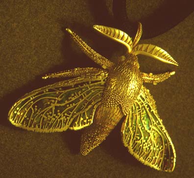 Happy Sass & Bunny Moths: Our friend, the moth.