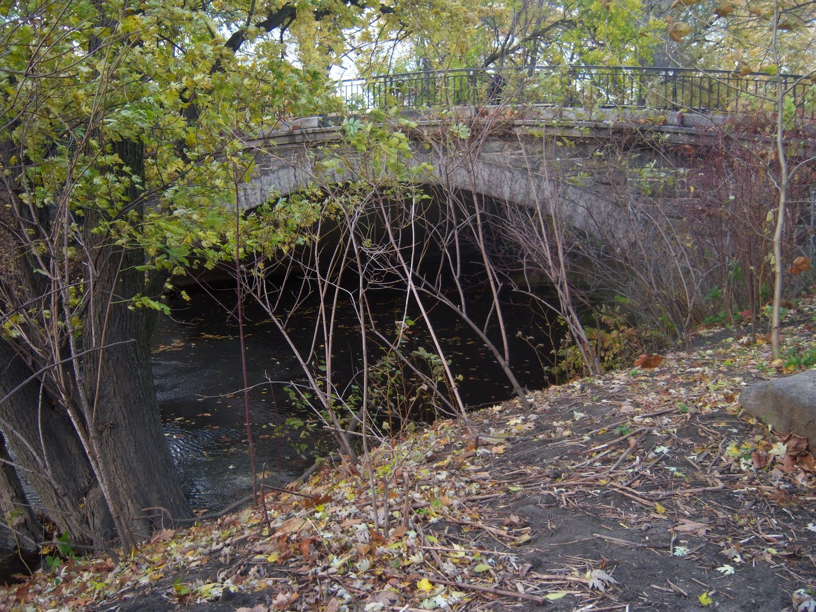 Long Distance Voyager: Bridge of the Week #37: Burke Bridge