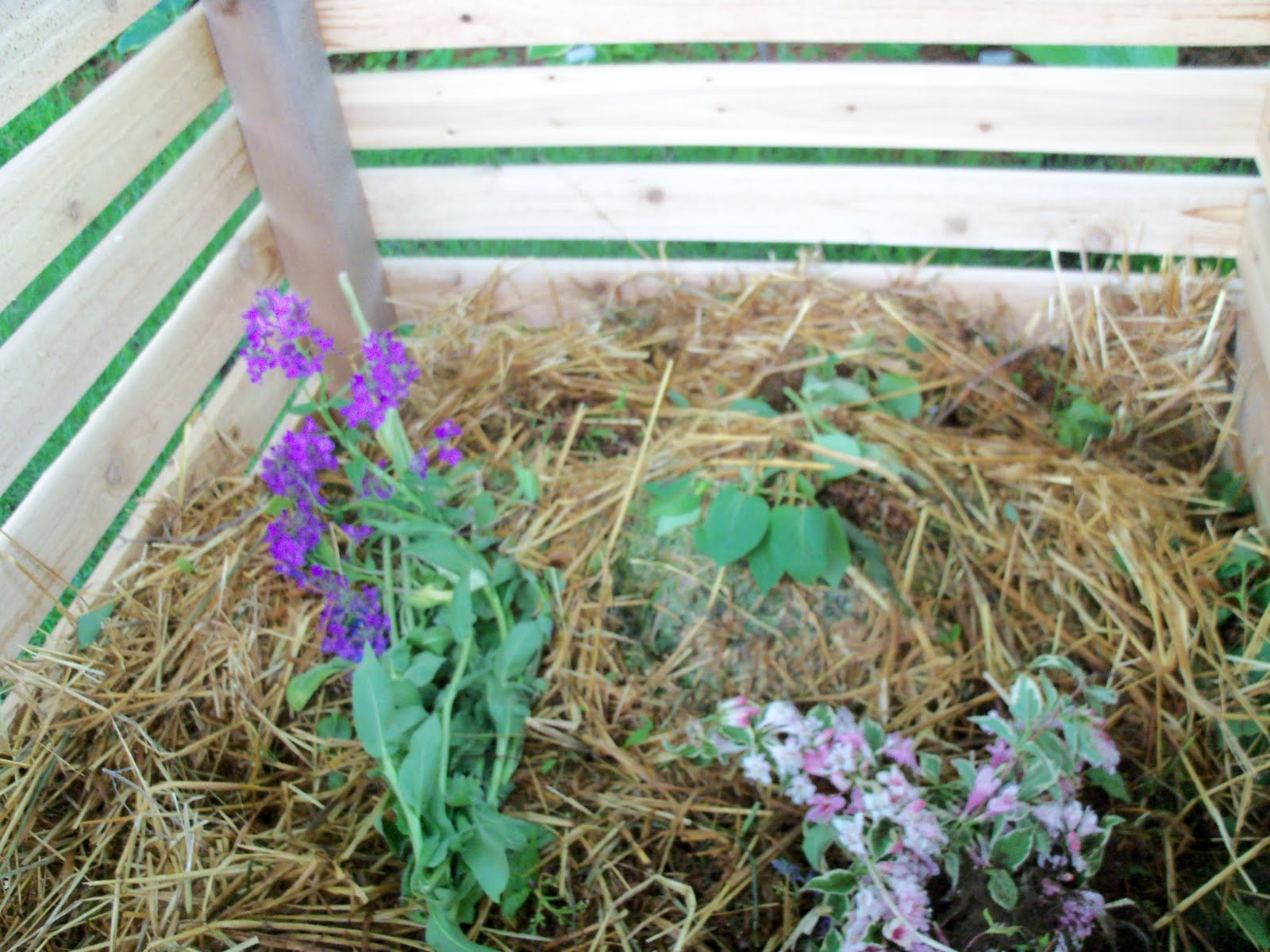 Beyond The Garden Gate: THIS is how we compost