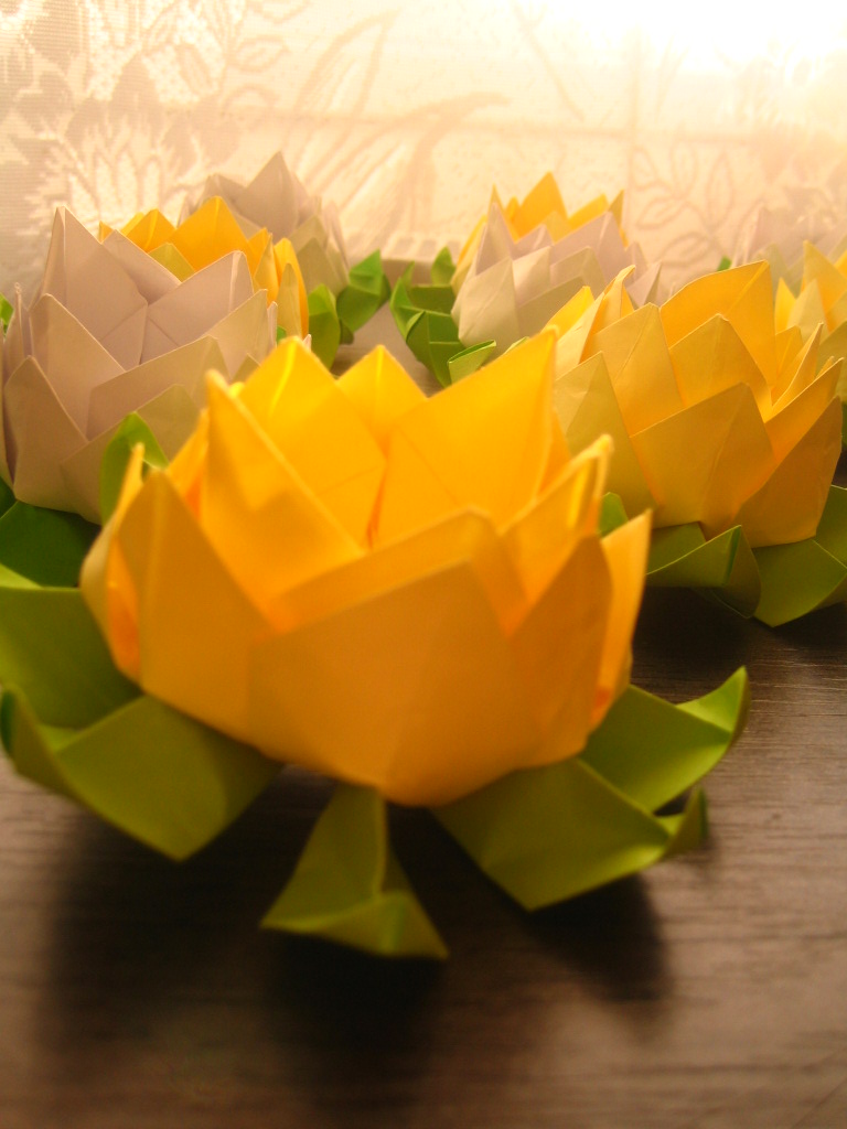 Joc si culori: Nuferi origami