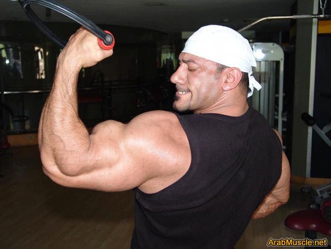 Muscle Lover: Egyptian bodybuilder Anwar El Sayed