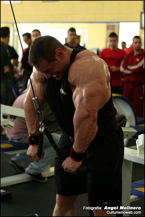 Muscle Lover: Spanish bodybuilder Francisco (Paco) Bautista