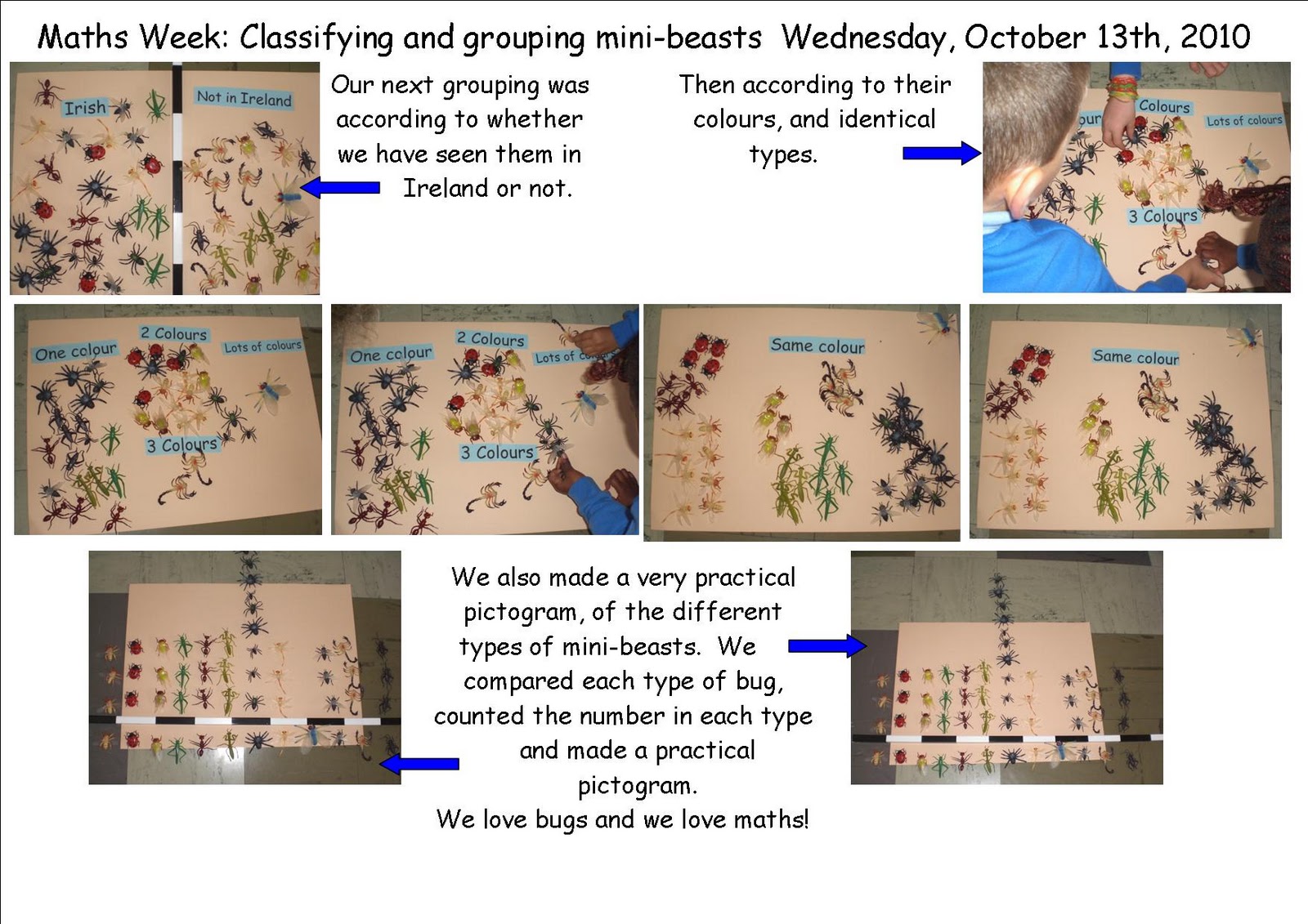 Science Projects: Classifying Bugs: Senior Infants