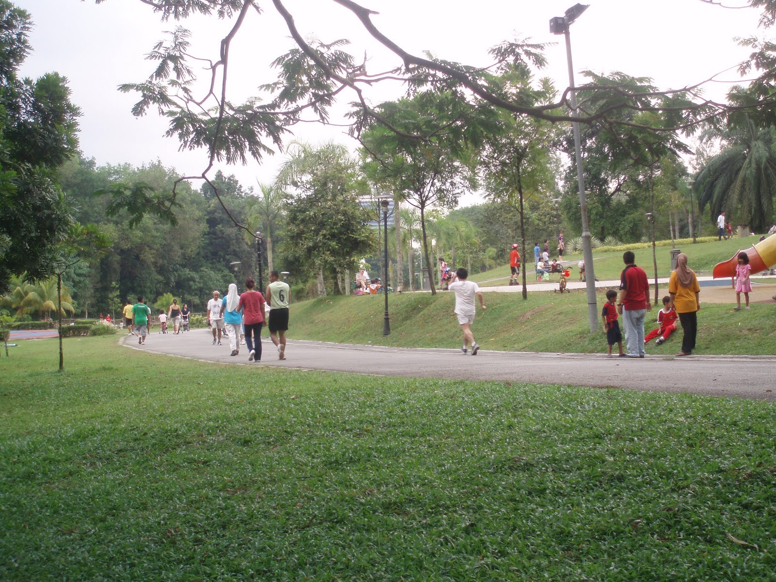 Inspired Momx1: TTDI Park (Taman Rimba Kiara Park)
