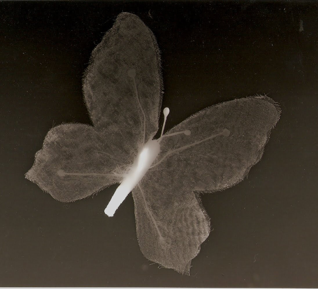 ...a photogram blog: