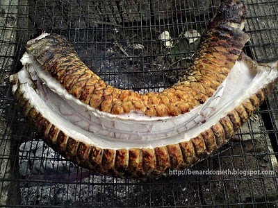 Sarawakiana@2: Snake Meat and other Jungle Fare