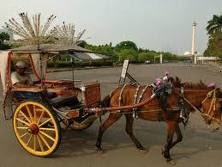 isamas54: DELMAN, KUSIR DAN KUDA