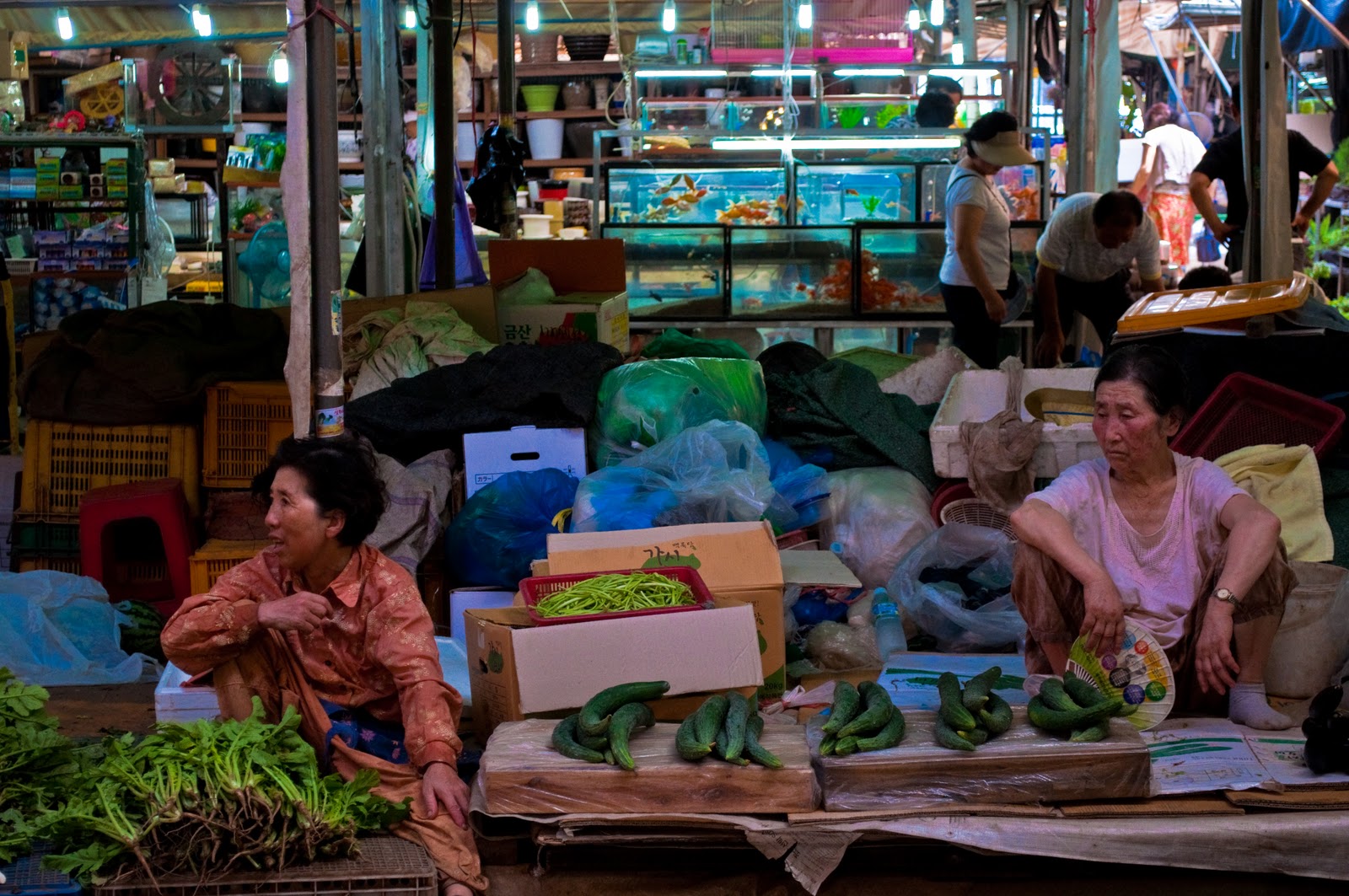 cosmicshoplifter: A trip to Jeju City's 5 day market