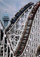Roller Coasters and Thrill Rides: Diamondback