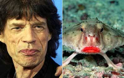 Amazing And Funny Pictures: Celebrities Looking Like Strange Creatures