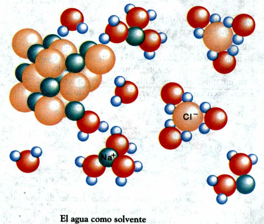 veronicabcdc: Entrada 2: fuentes utilizadas de acuerdo a la importancia