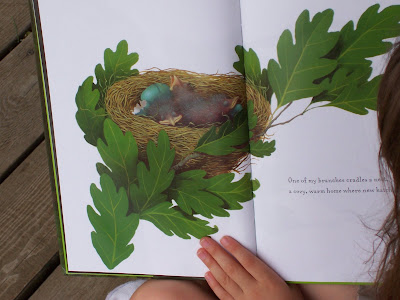 the imponderabilia of actual life: The Busy Tree: Book Review