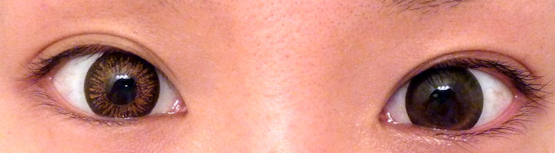 The Makeup Piggy : Circle Lens Review - EOS V205LB Hazel