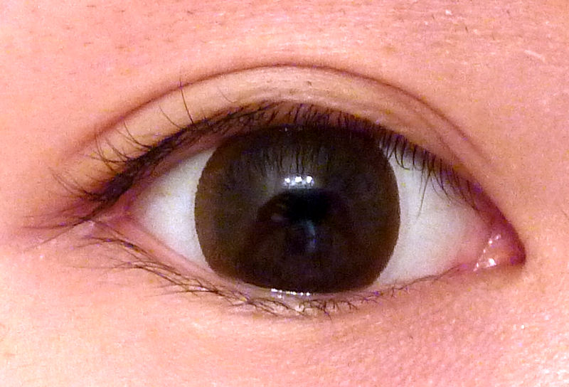 The Makeup Piggy : Circle Lens Review - EOS V102-L Brown