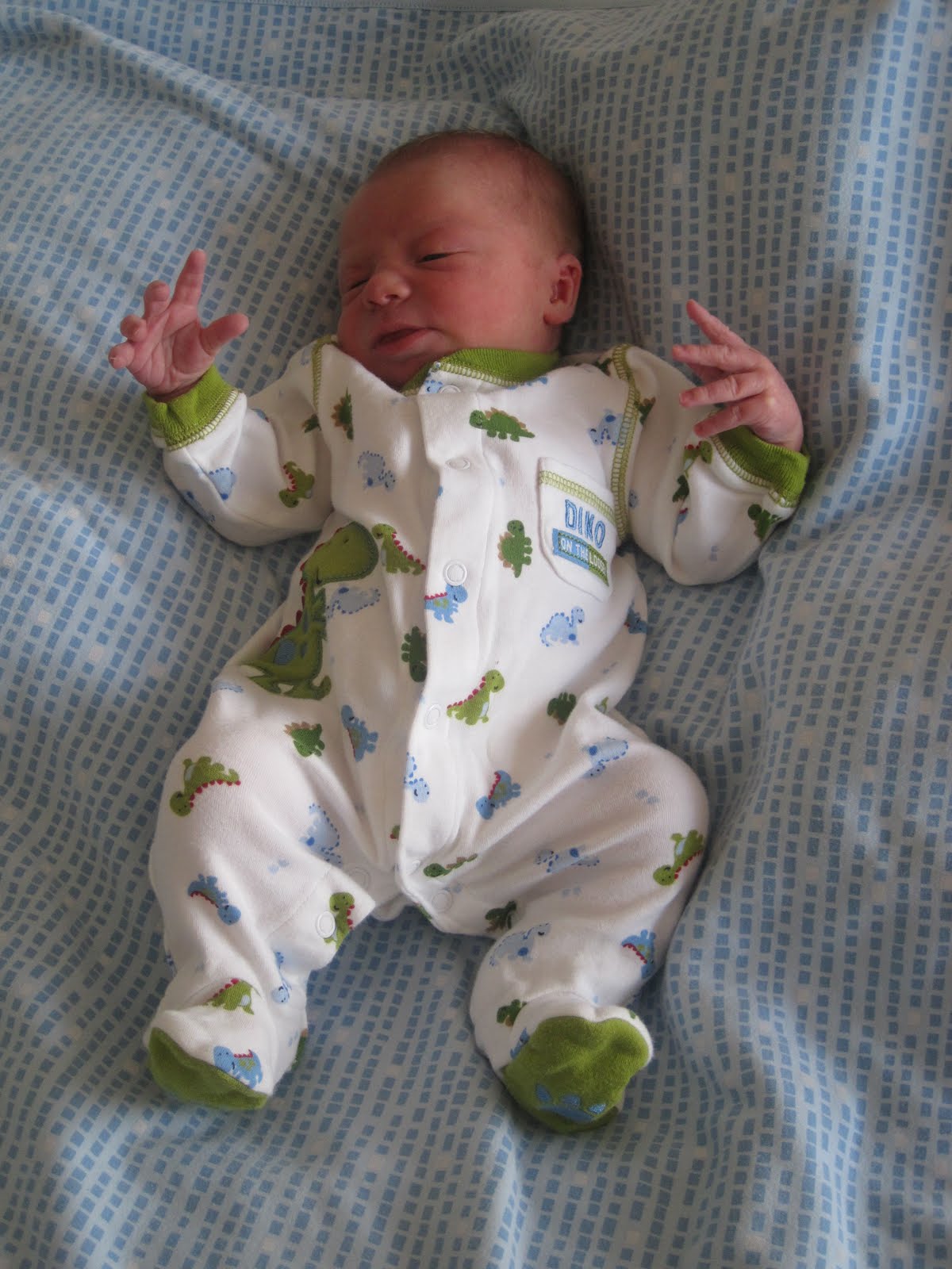 Little Q's Blog: Meet our new baby boy!