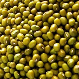 Recipe Hotline: Mongo Guisado