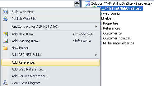 NHibernate with Oracle: Conneting NHibernate to oracle using ODP.NET