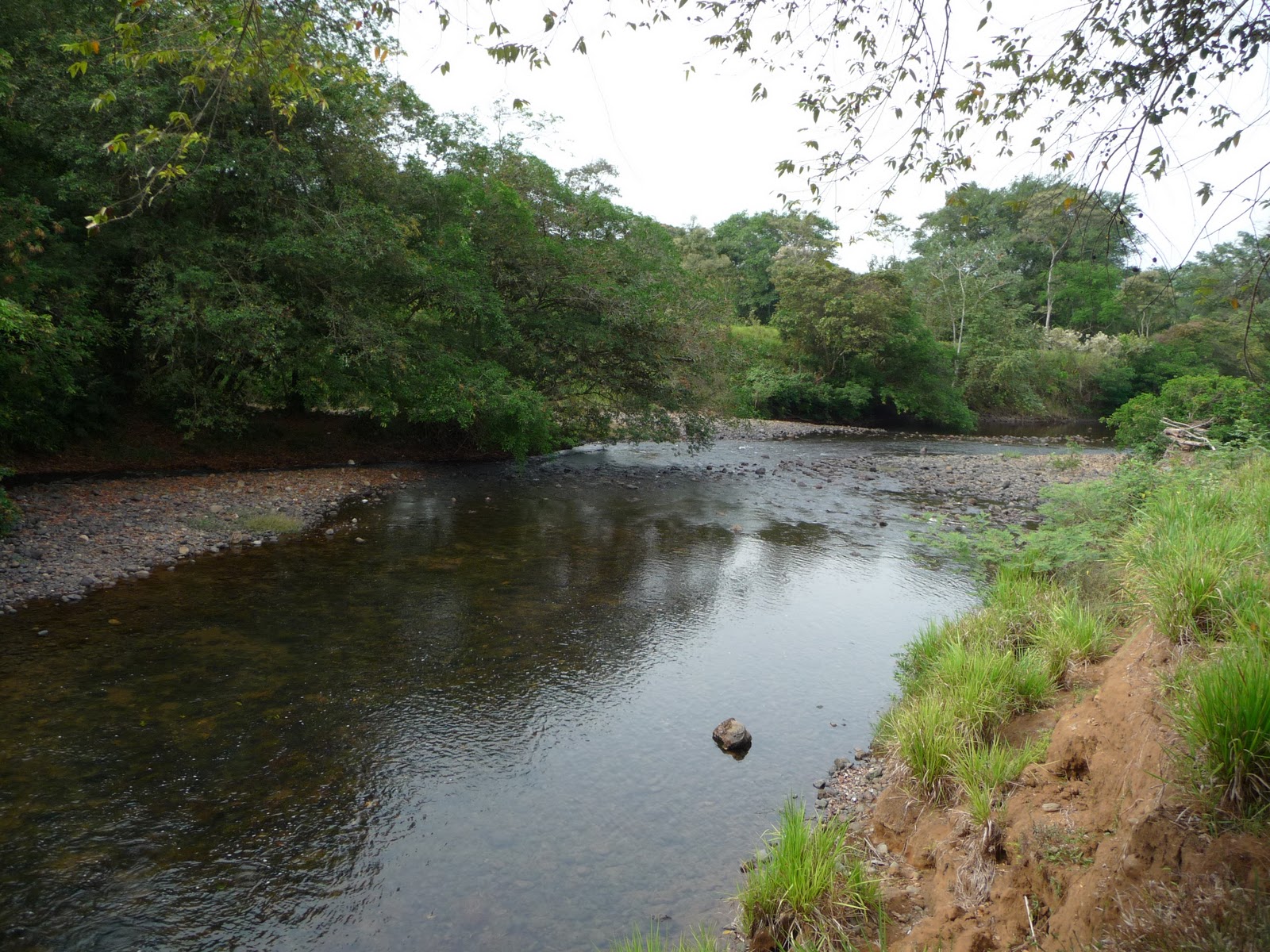 Finca "Dos Ríos" Panamá