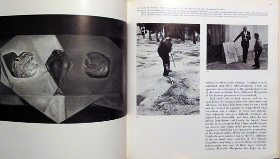 Salvador Dali Book Collector: Books About Dali.