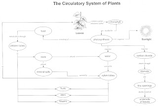 - Six Diligence 2010