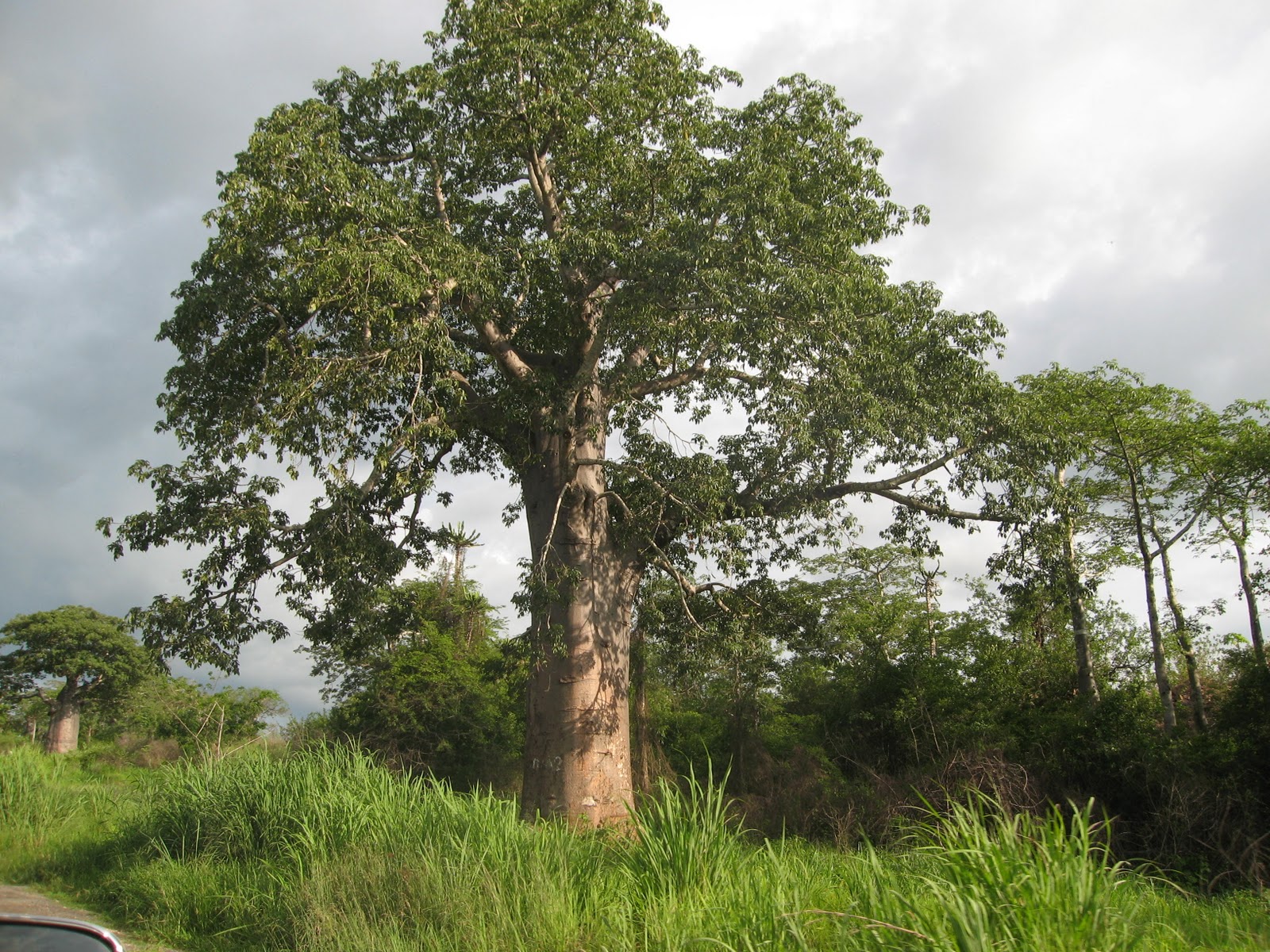 Viajar...viajar! Ir....e voltar!: CAXITO