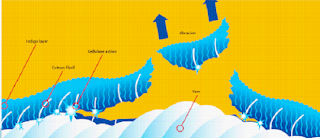 The Industrial Enzymologist: Biostoning