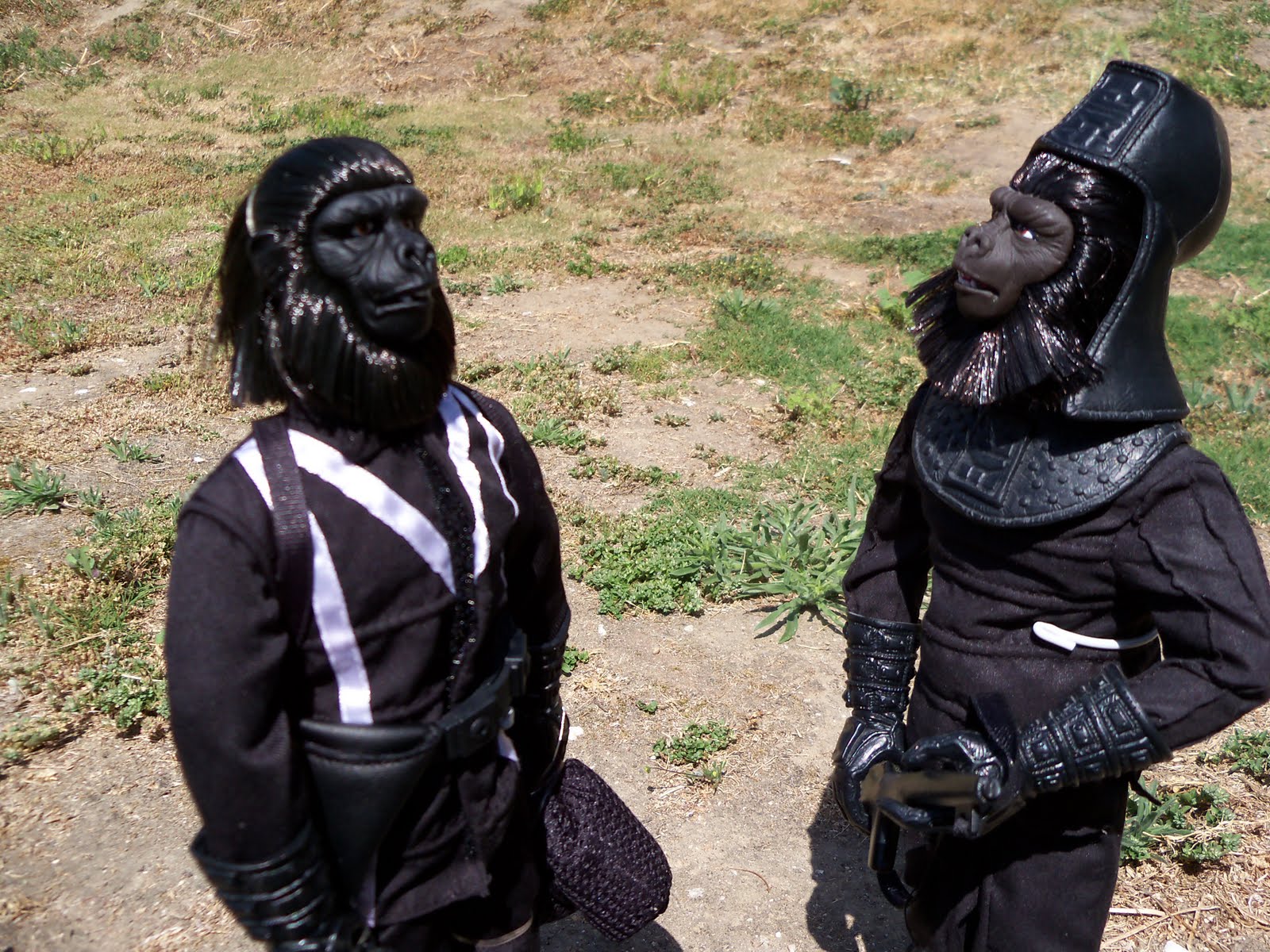 Bunker Talk: Ape Army