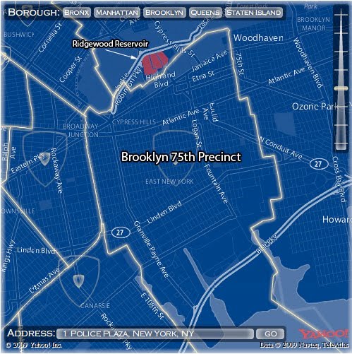 Save Ridgewood Reservoir: ATV & Precinct Info