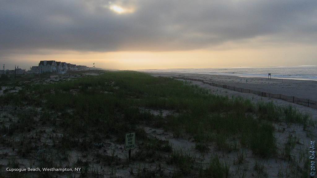 The City Birder: 07/01/2010 - 08/01/2010