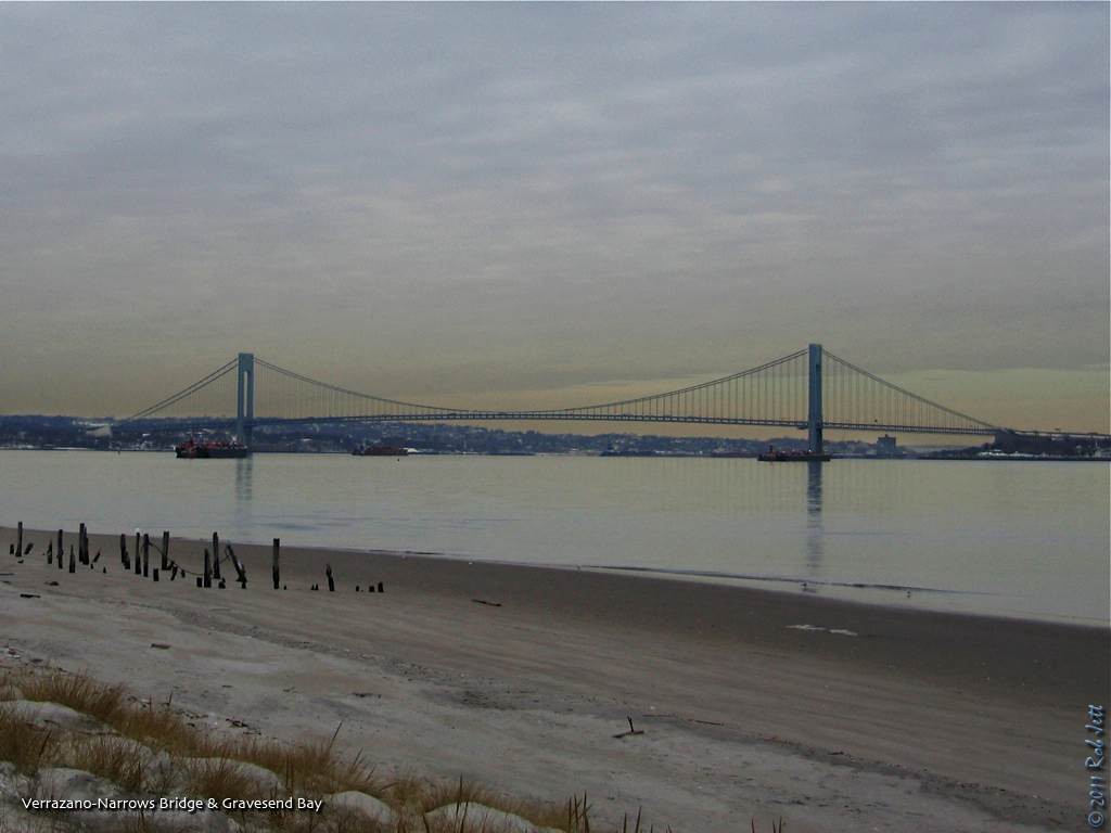 The City Birder: Foreboding Sky & Uncommon Gull