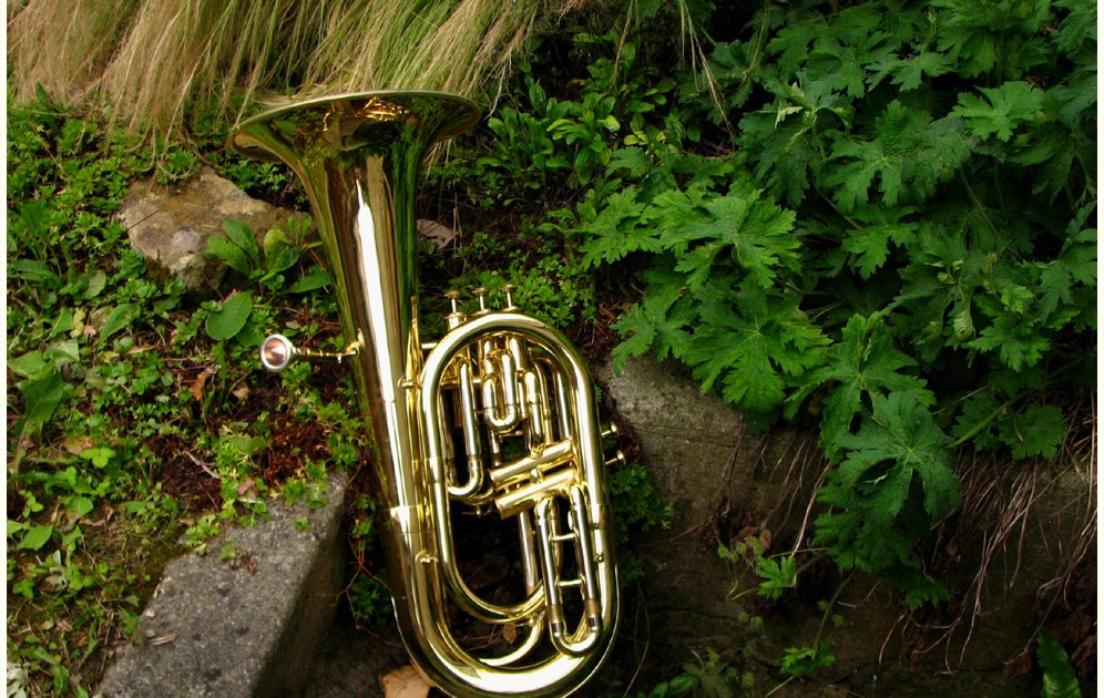 CERGIPONTIN: Le saxhorn basse si bémol