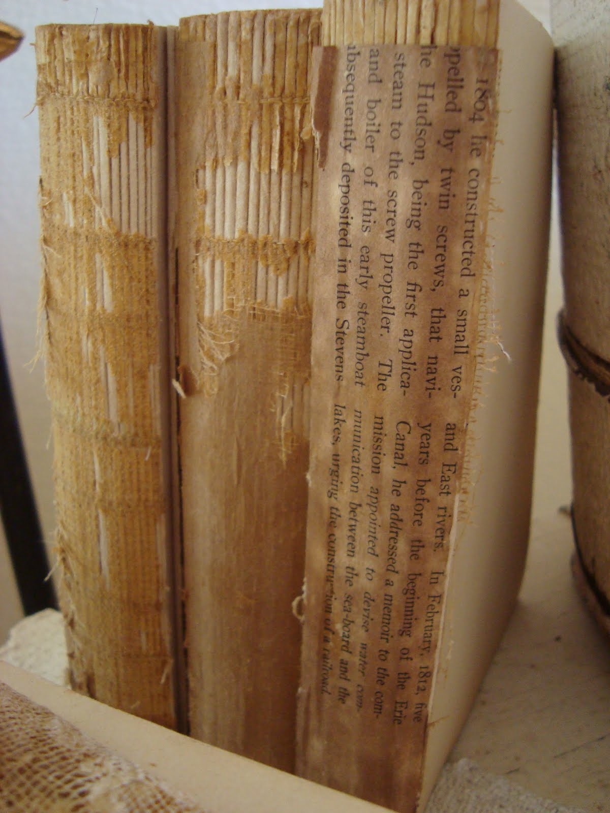 The French Mannequin: ~ Ripped Books