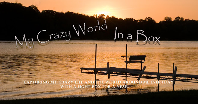 My Crazy world in a Box