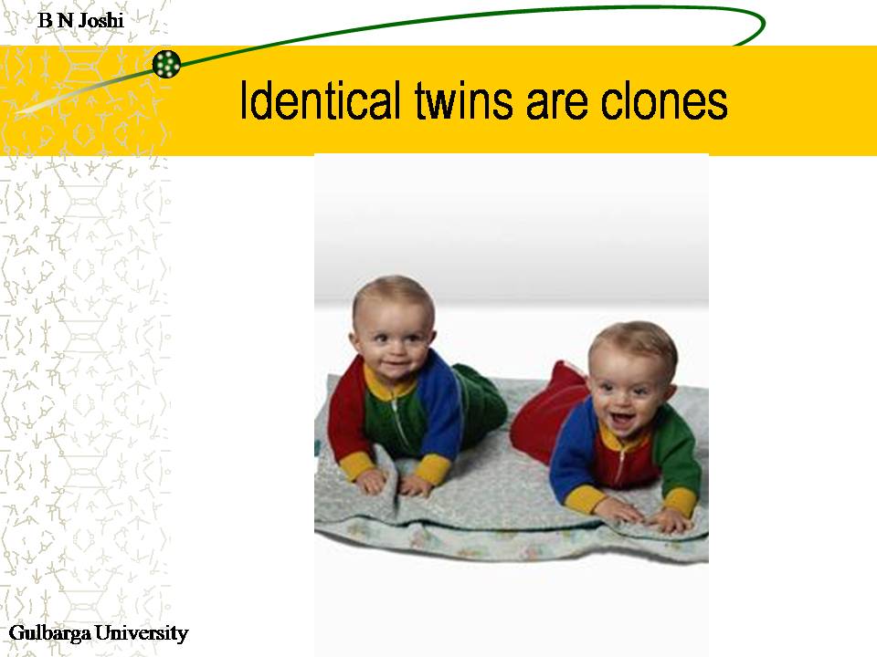 Cloning Stemcel Res
