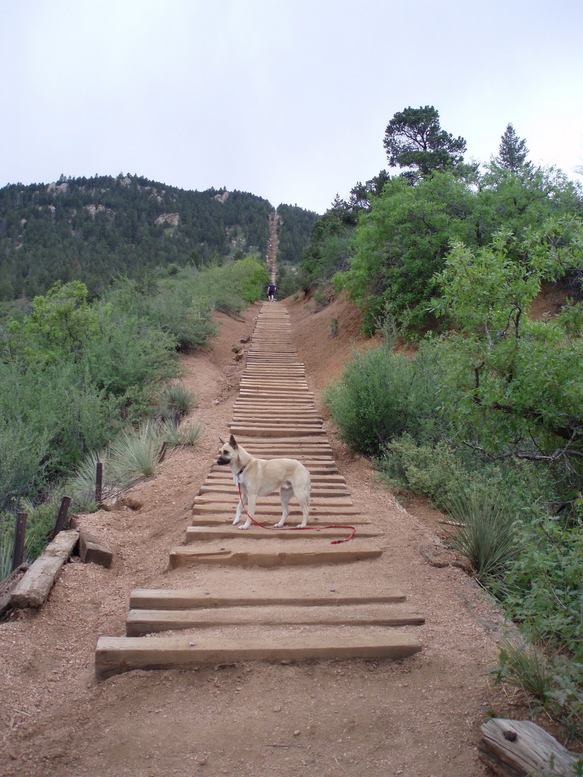 Hike Colorado: The Incline (Manitou Springs, CO)