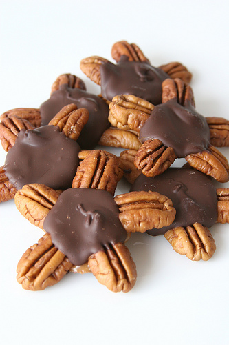 Green Carbon Creations: Pecan Turtles and Fabric Doves