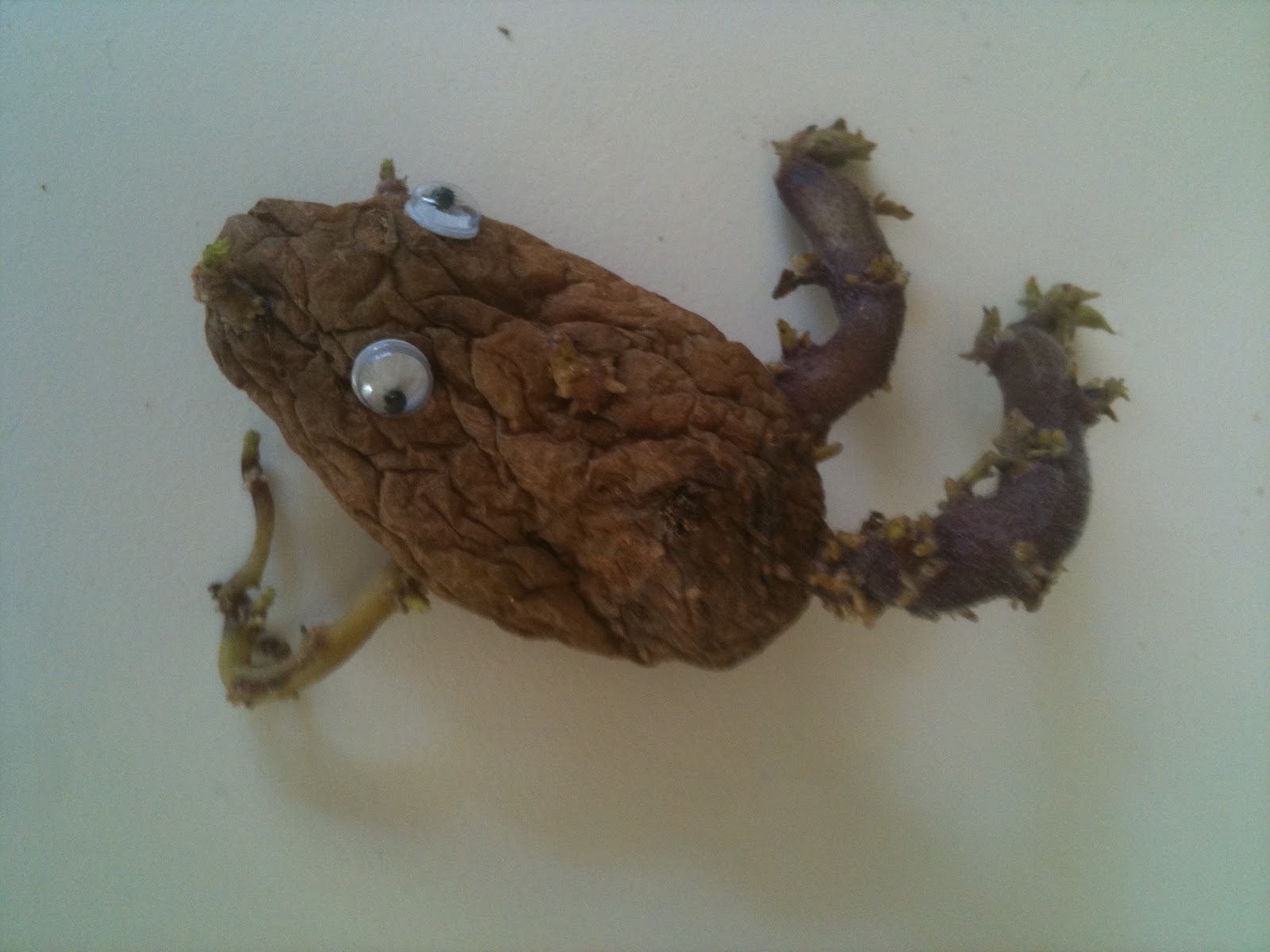 Frogblog: Frog and Potato's domestic dispute - consequences