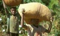 Child labour: US launches initiative to combat child labor in cocoa ...