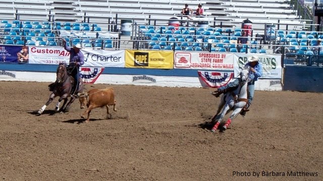 Random Images from a Nightowl: June 2010