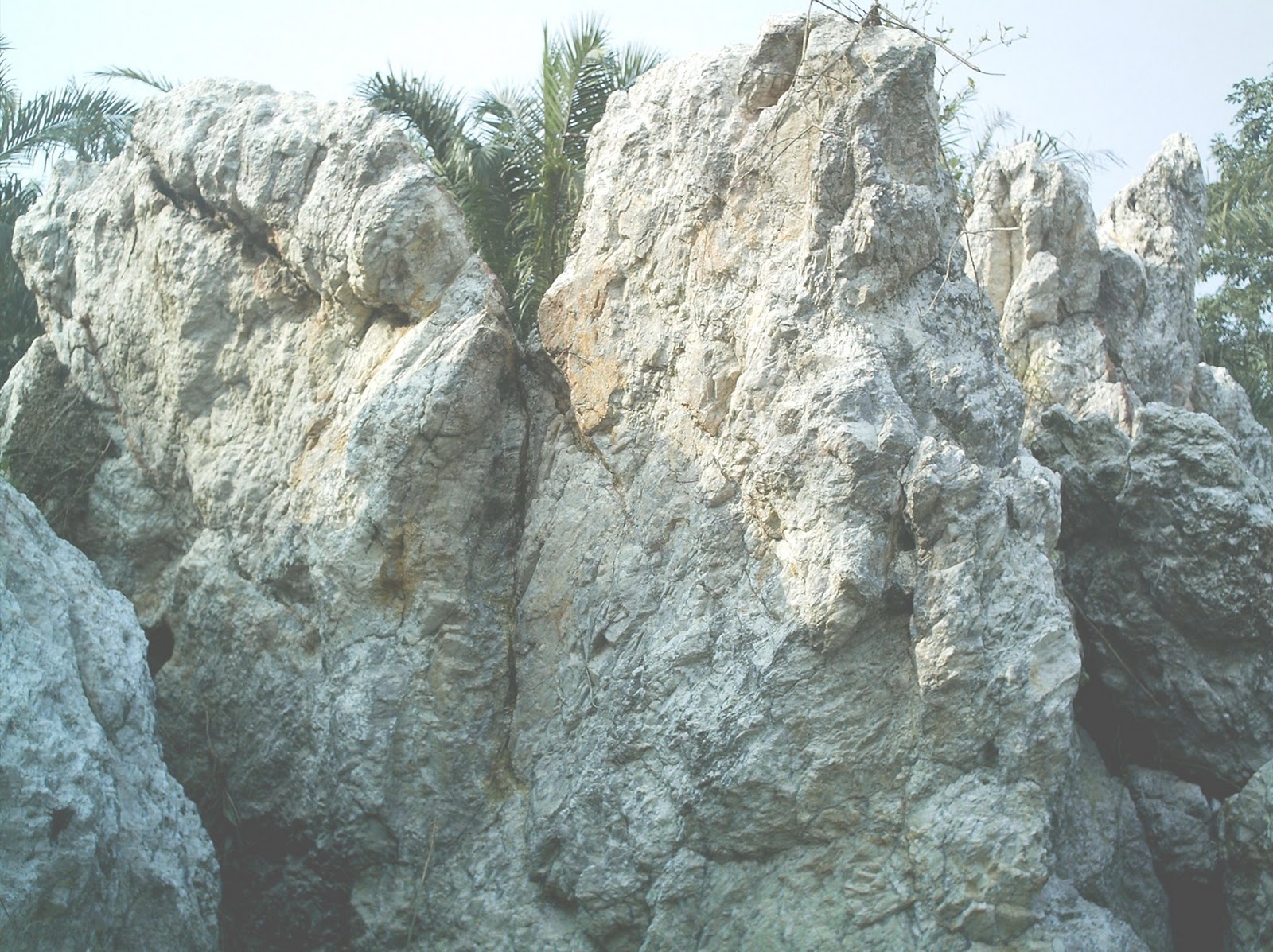 KAMPUNG BATU PUTEH: SEJARAH PENUBUHAN KAMPUNG BATU PUTEH