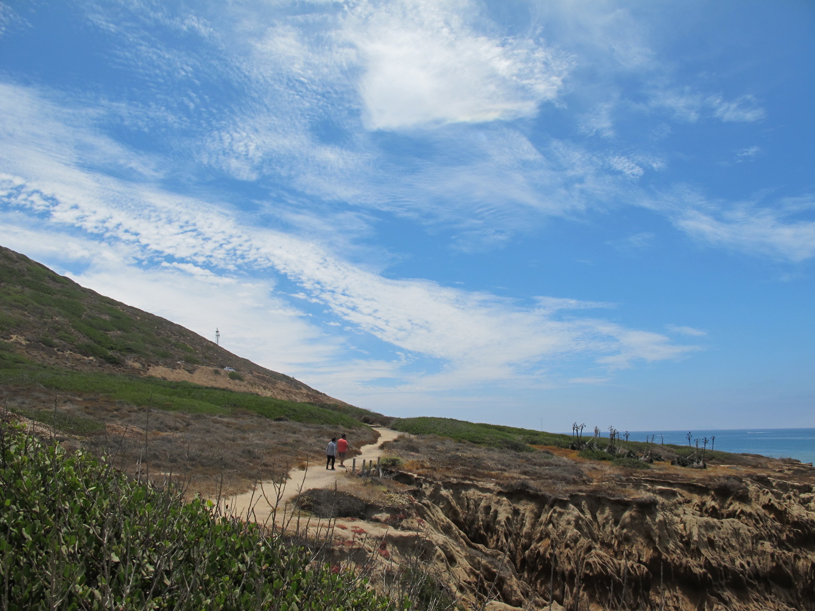 Ultimate Fun Club: La Jolla Cove and Point Loma, San Diego, CA